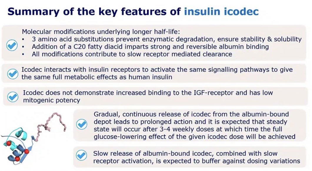 Insulin Icodec - the once a week long acting insulin from Novo Nordisk ...
